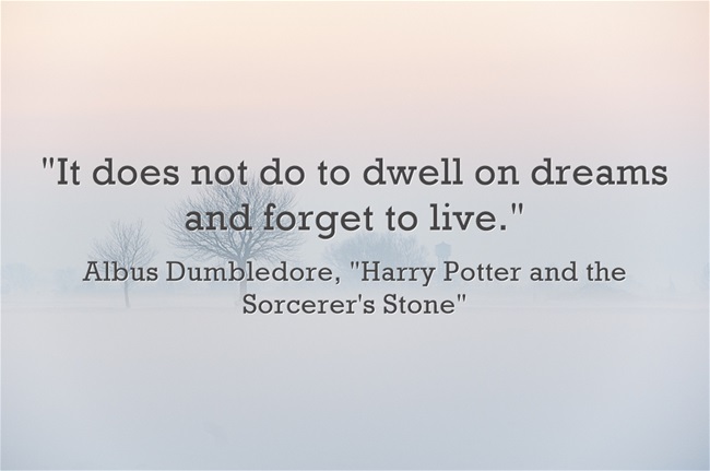 Dumbledore Quote 1 – Supposedly Fun