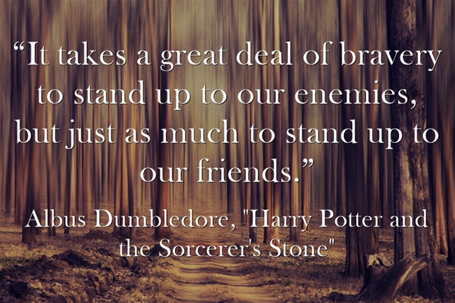 Dumbledore Quote 2 – Supposedly Fun